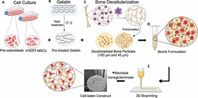 Bioink for 3D-Bioprinting with Decellularized Bone Particles