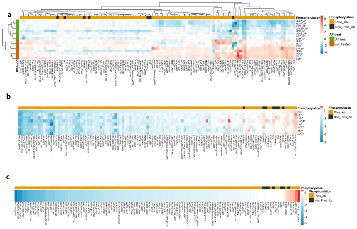 RPPA for Quantification of Phosphoproteins in Tissues